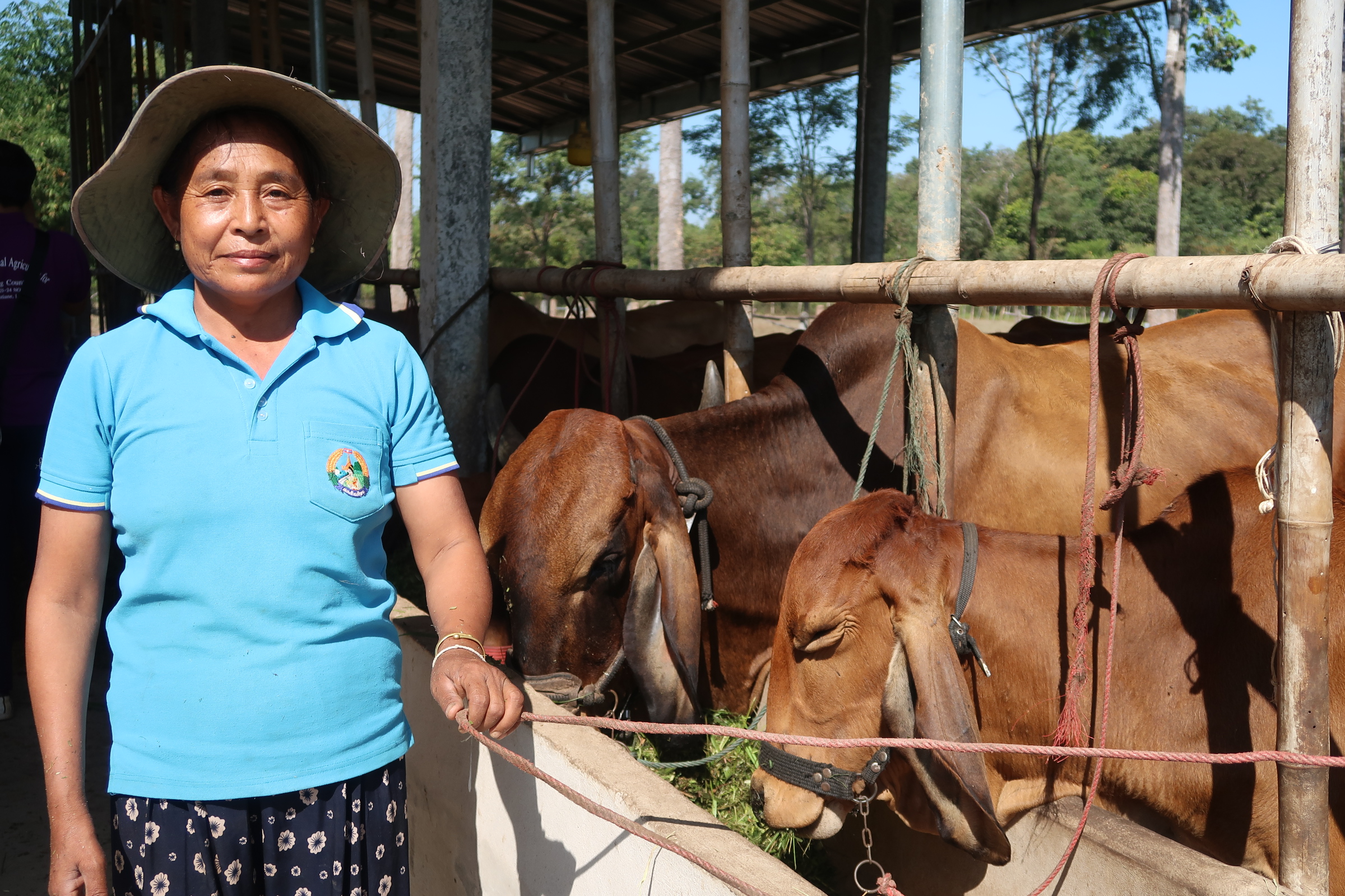 ILRI Asia | Livestock research updates from ILRI