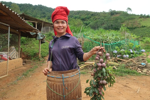 ILRI Asia | Livestock research updates from ILRI